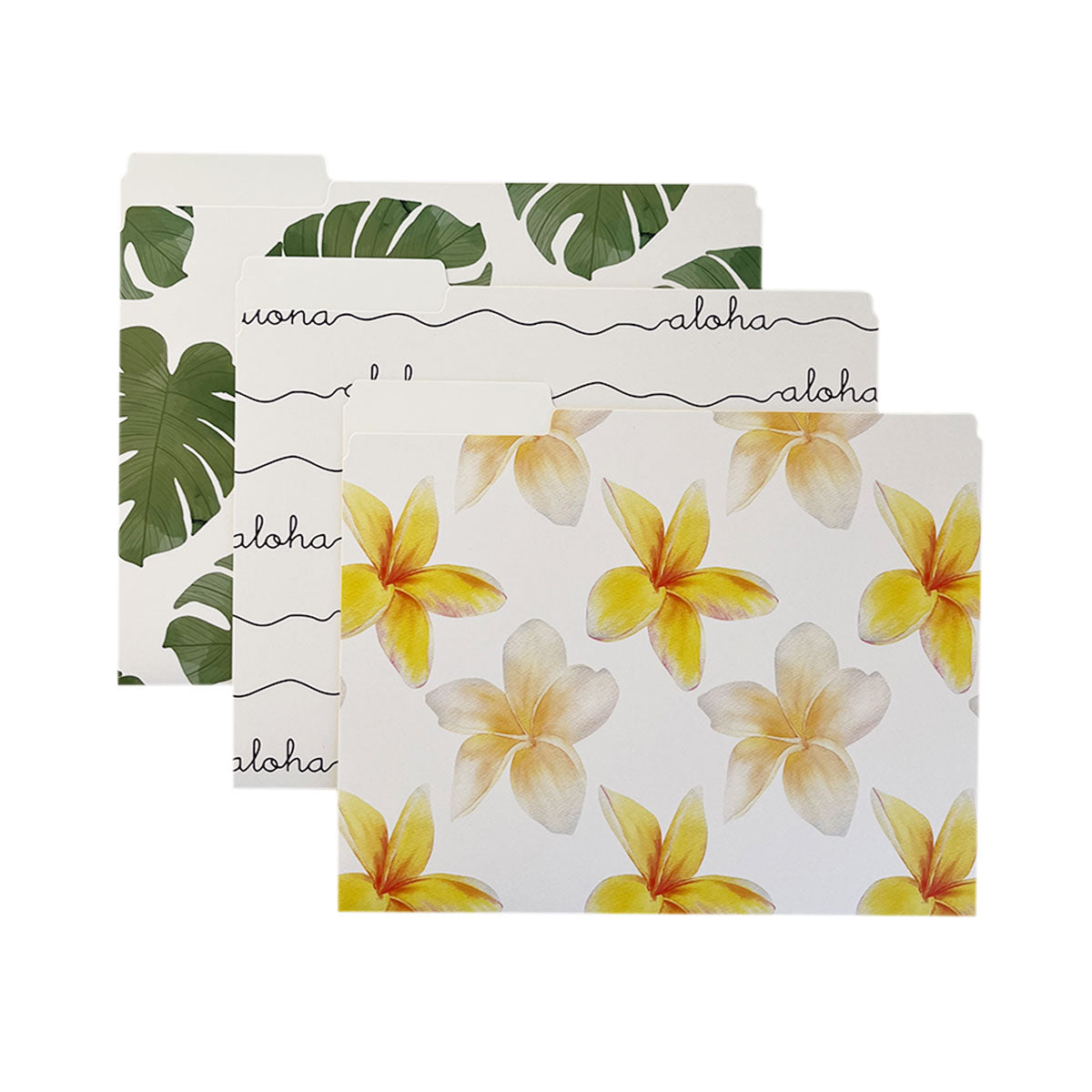Aloha File Folders, Set of 3 – SoHa Living