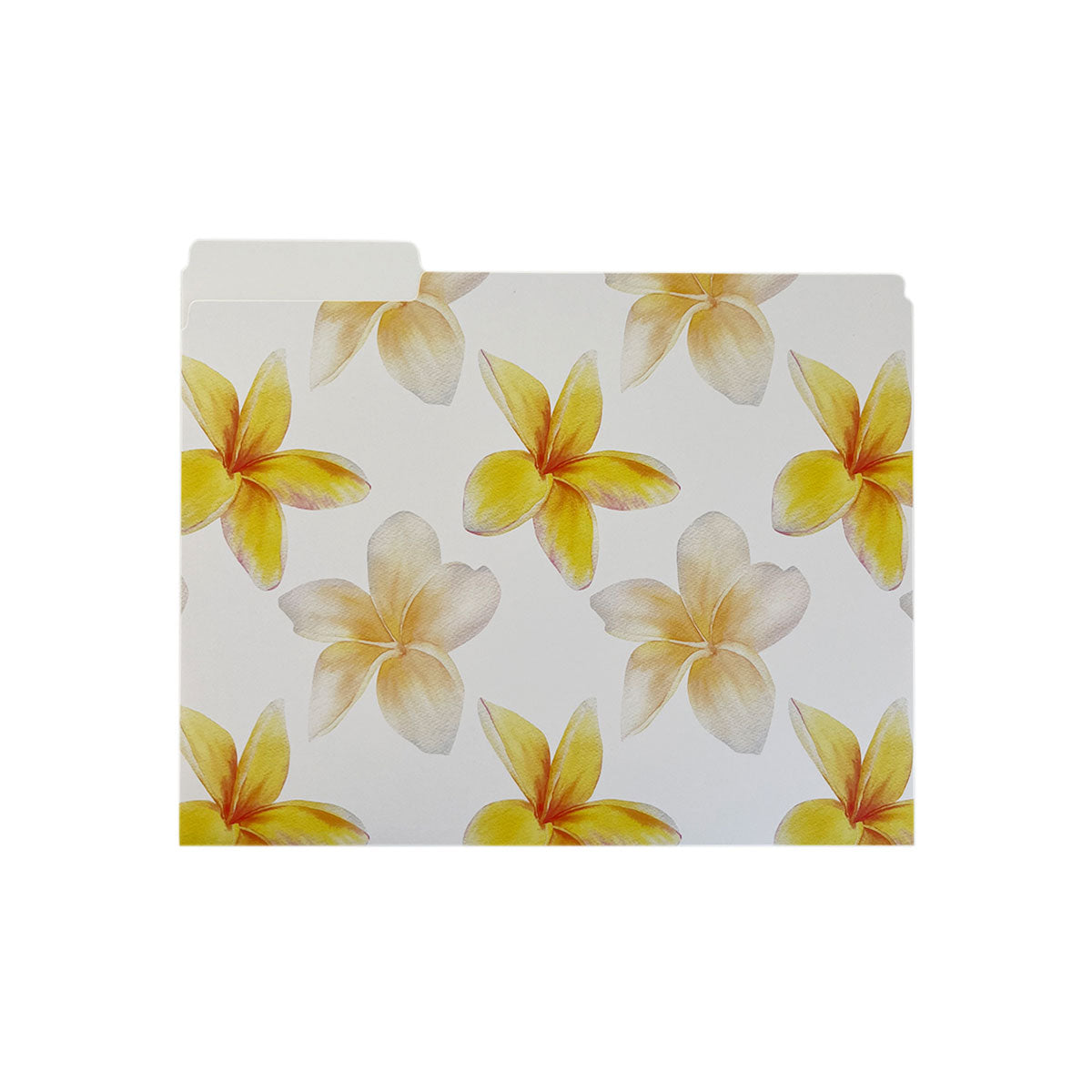 Aloha File Folders, Set of 3 – SoHa Living