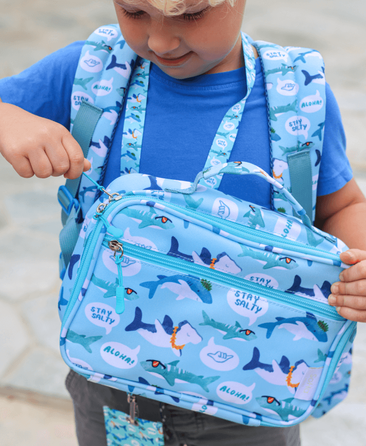 Boys Lunch Bags – SoHa Living