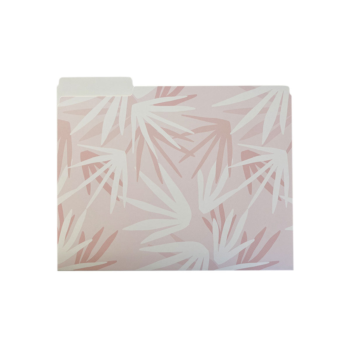 Tropical in Pink File Folders, Set of 3 – SoHa Living