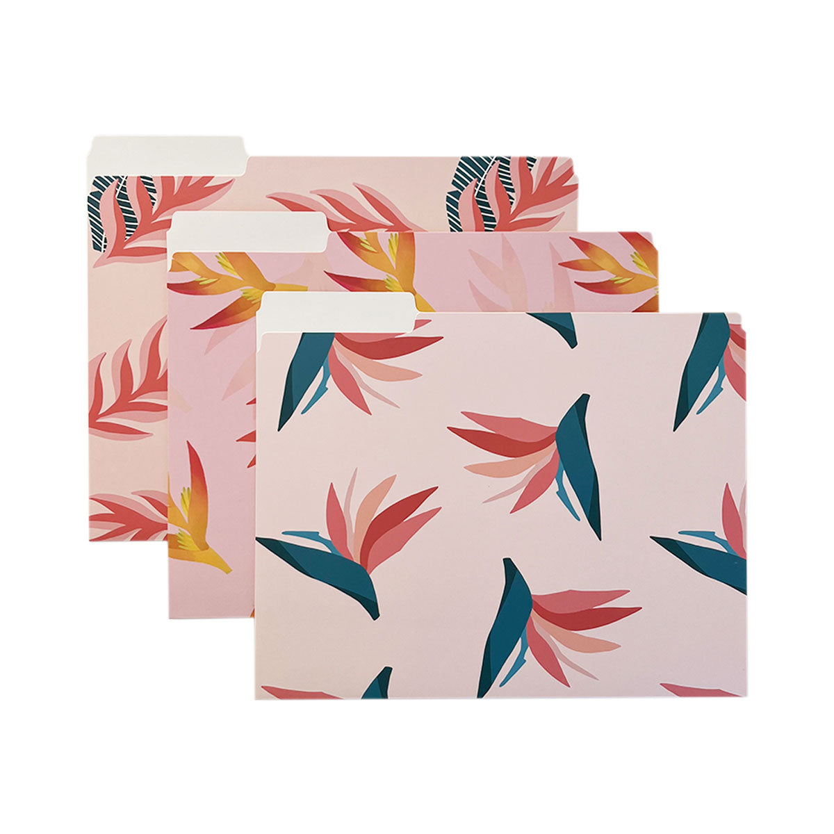 Birds of Paradise File Folders, Set of 3 – SoHa Living