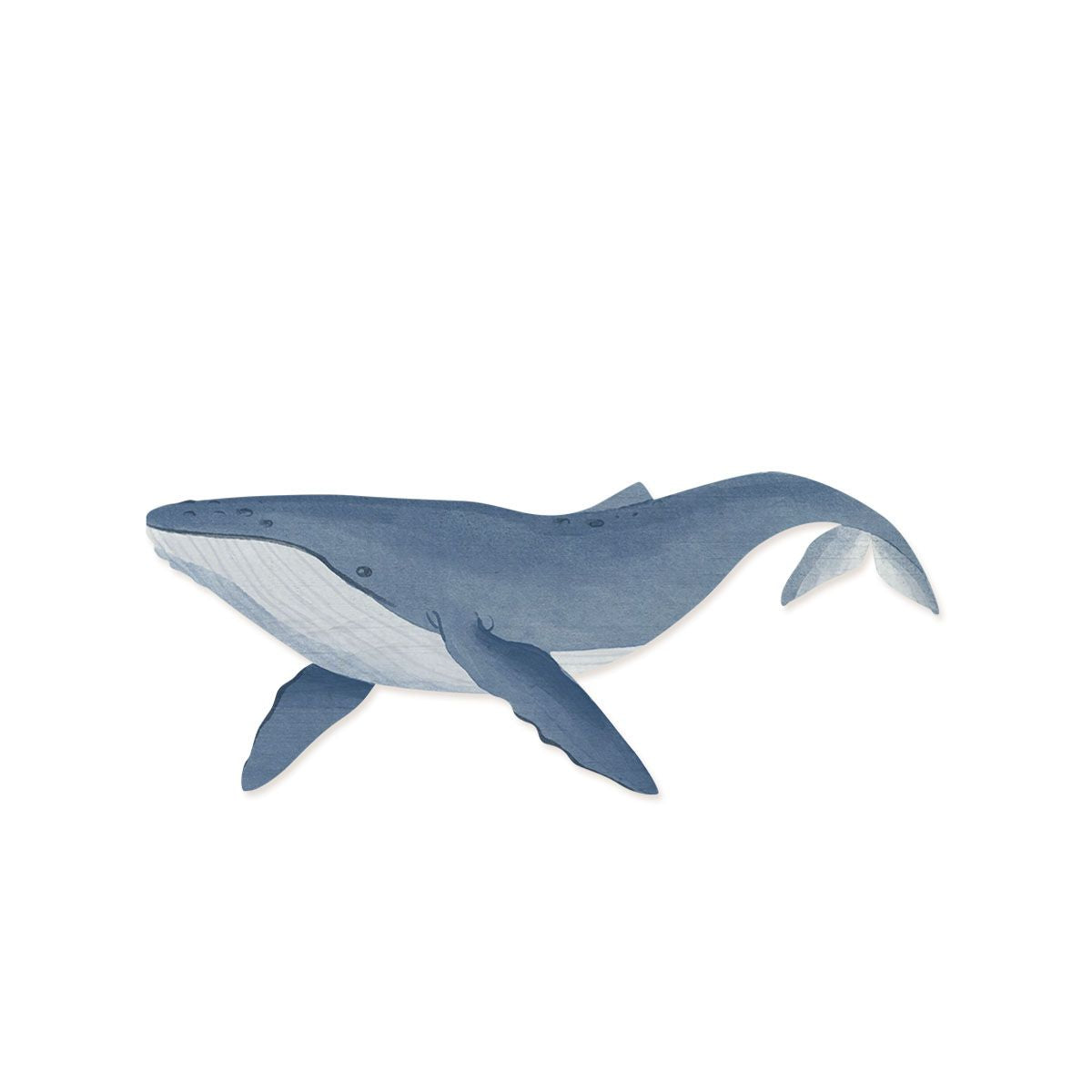 Humpback Whale Wood Shape – SoHa Living