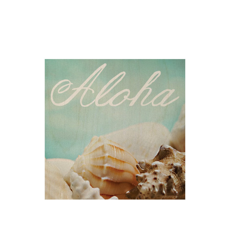 Aloha Shell – SoHa Living
