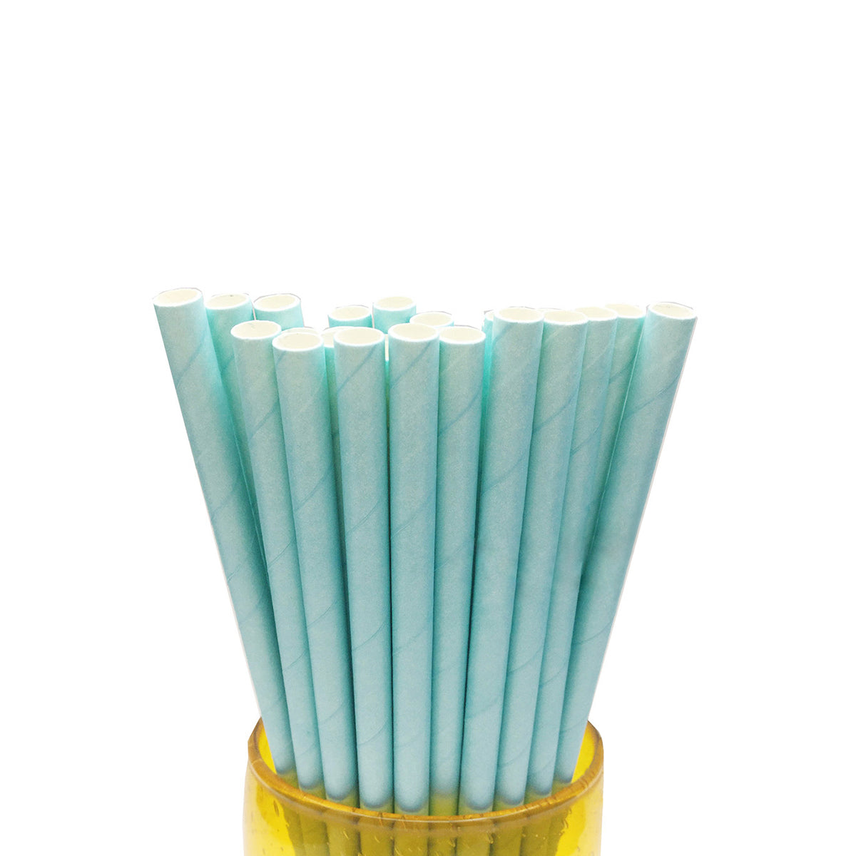 *Paper Straw Pack of 25, Aqua – SoHa Living